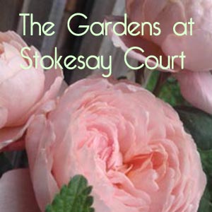 Flower Garden at Stokesay Court – Grown In England