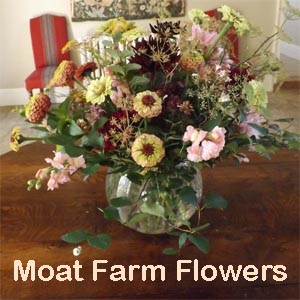 Moat Farm Flowers – Grown In England