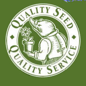 Moles Seeds – Grown In England