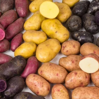 Carrolls Heritage Potatoes – Grown In England