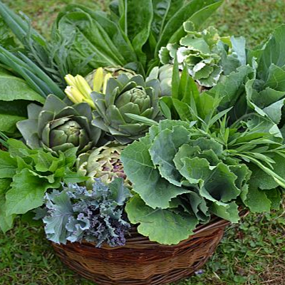 The Backyard Larder – Grown In England