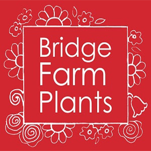 Bridge Farm Plants – Grown In England