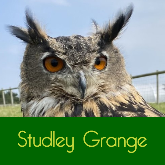 Studley Grange garden centre – Grown In England