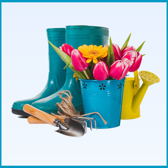 Daisy Nook Garden Centre – Grown In England